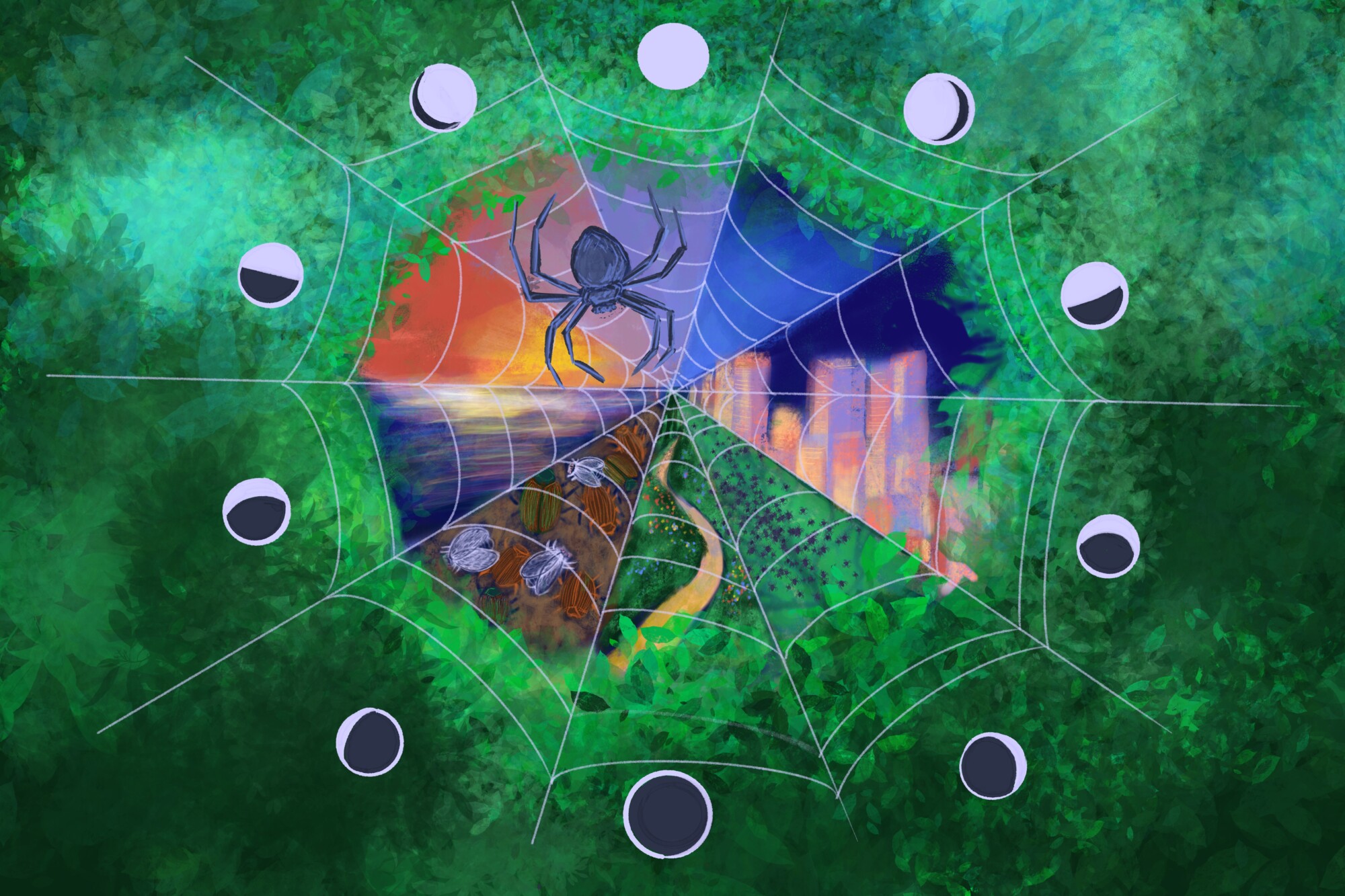 What Do Spiders Dream About? - Shannon Frost Greenstein